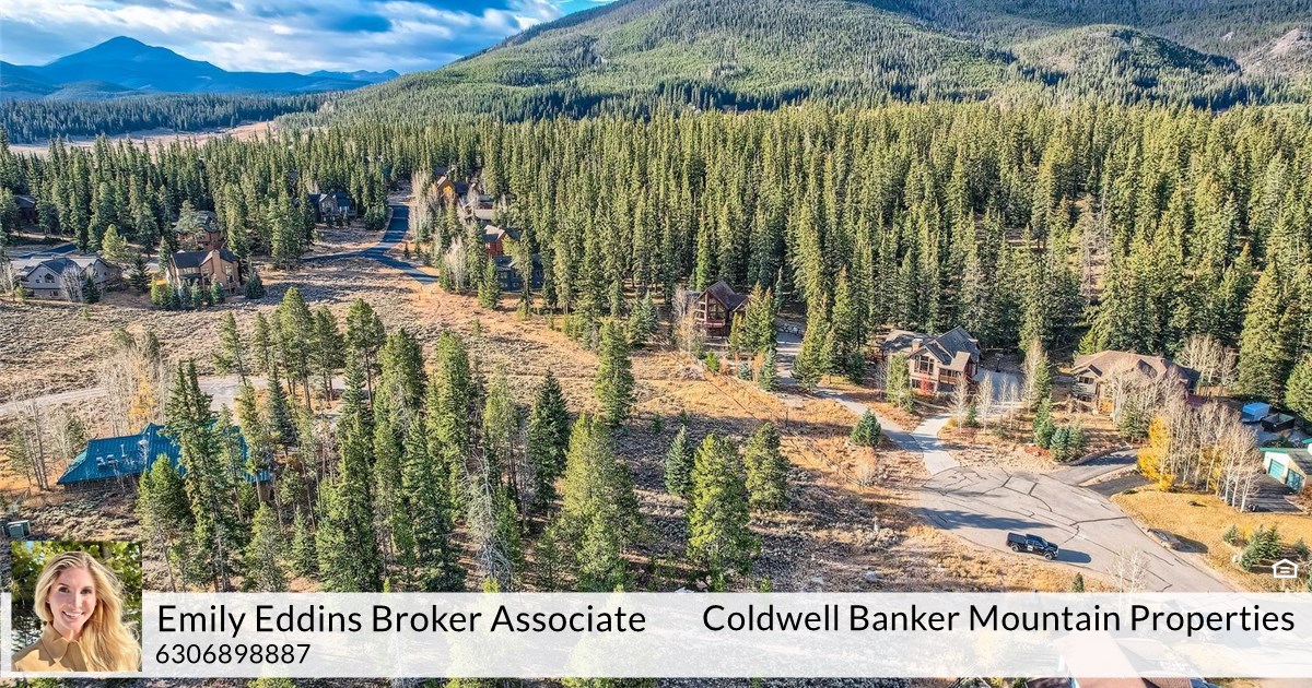 121 Shane Court, Dillon, CO 80435